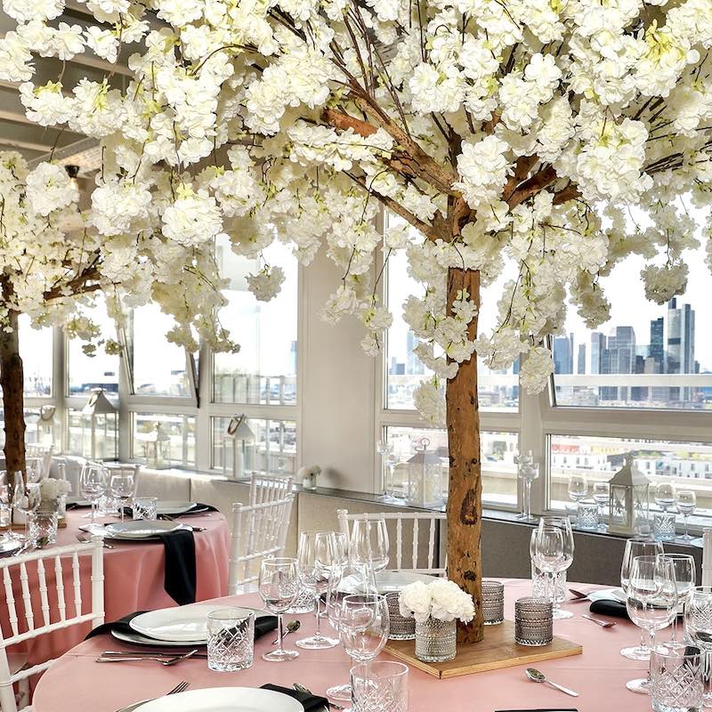 Kirschbaum Cherry Blossom 130cm (weiß und zartrosa) | mieten