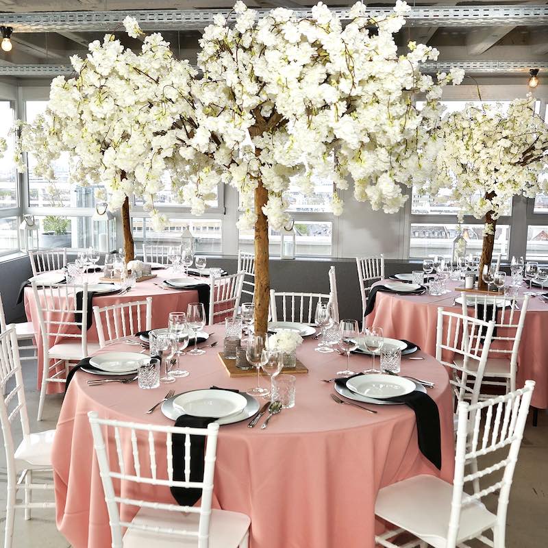 Kirschbaum Cherry Blossom 130cm (weiß und zartrosa) | mieten